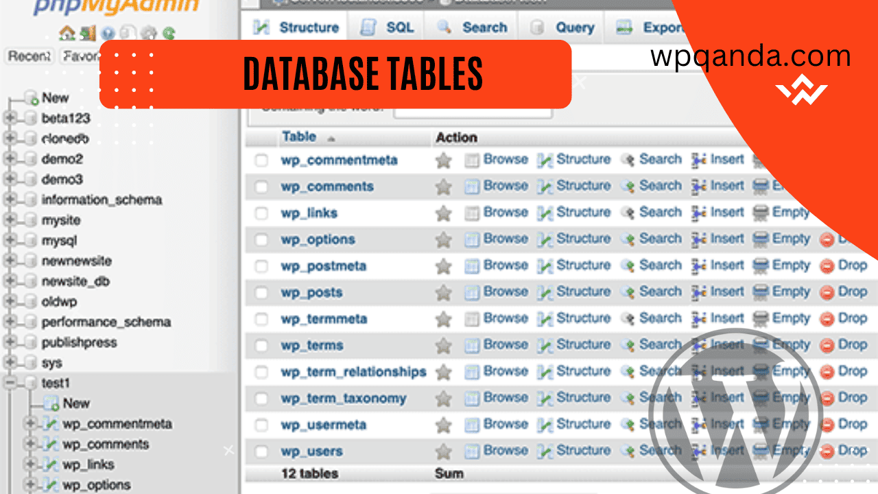 WordPress Database Optimization - The Full Guide - WP QandA